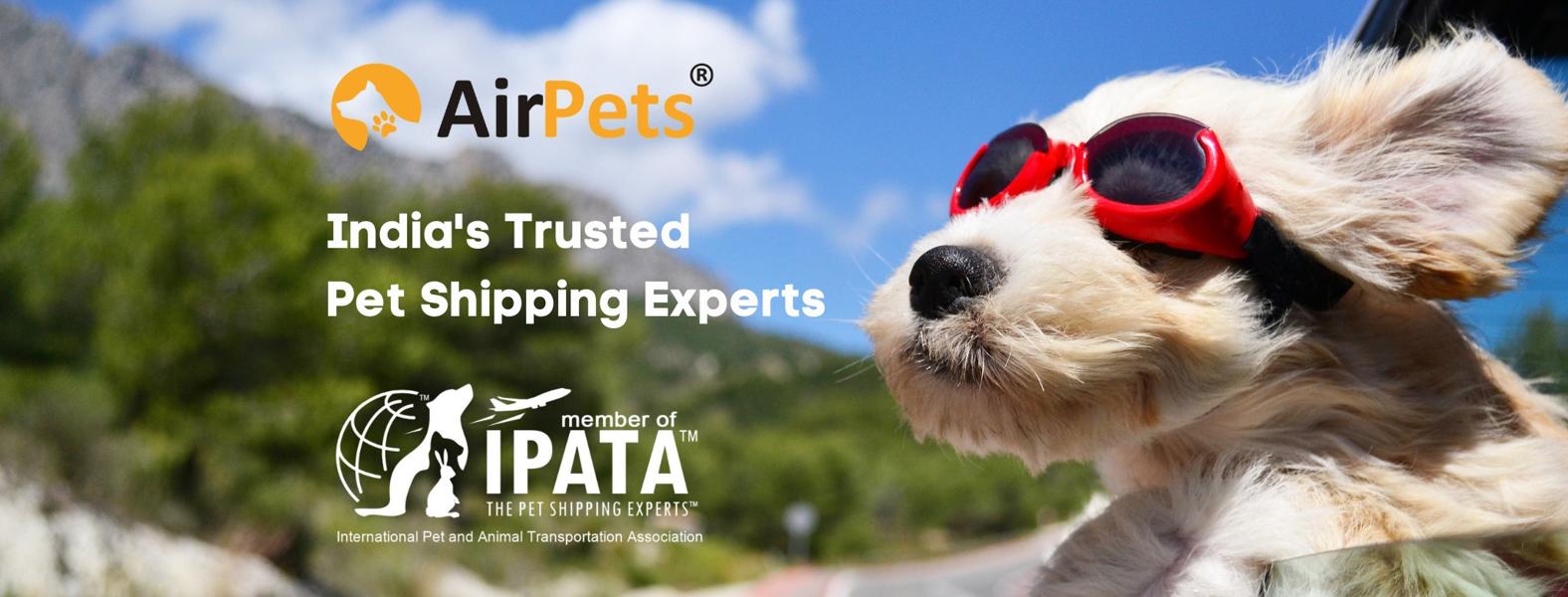 AirPets Relocation Servic (Gryffindor) | Hogwarts is Here