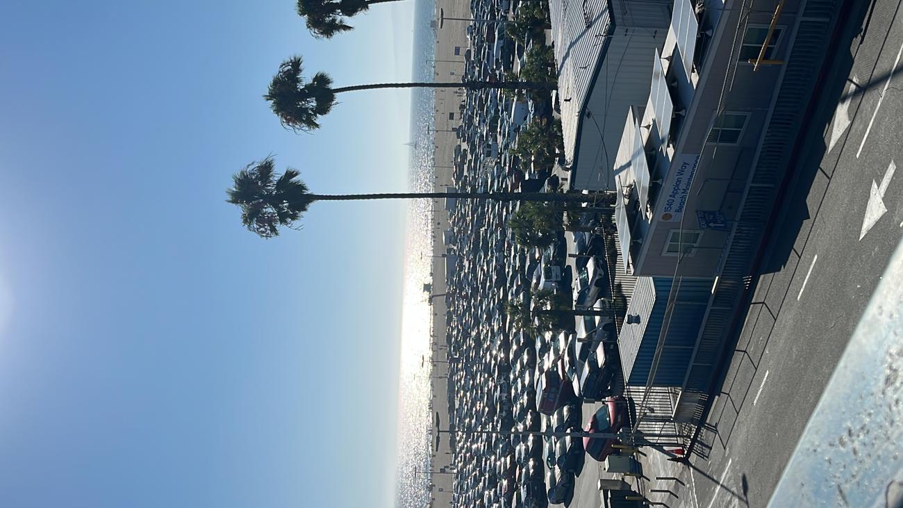 Samuel (Gryffindor) | Hogwarts is Here