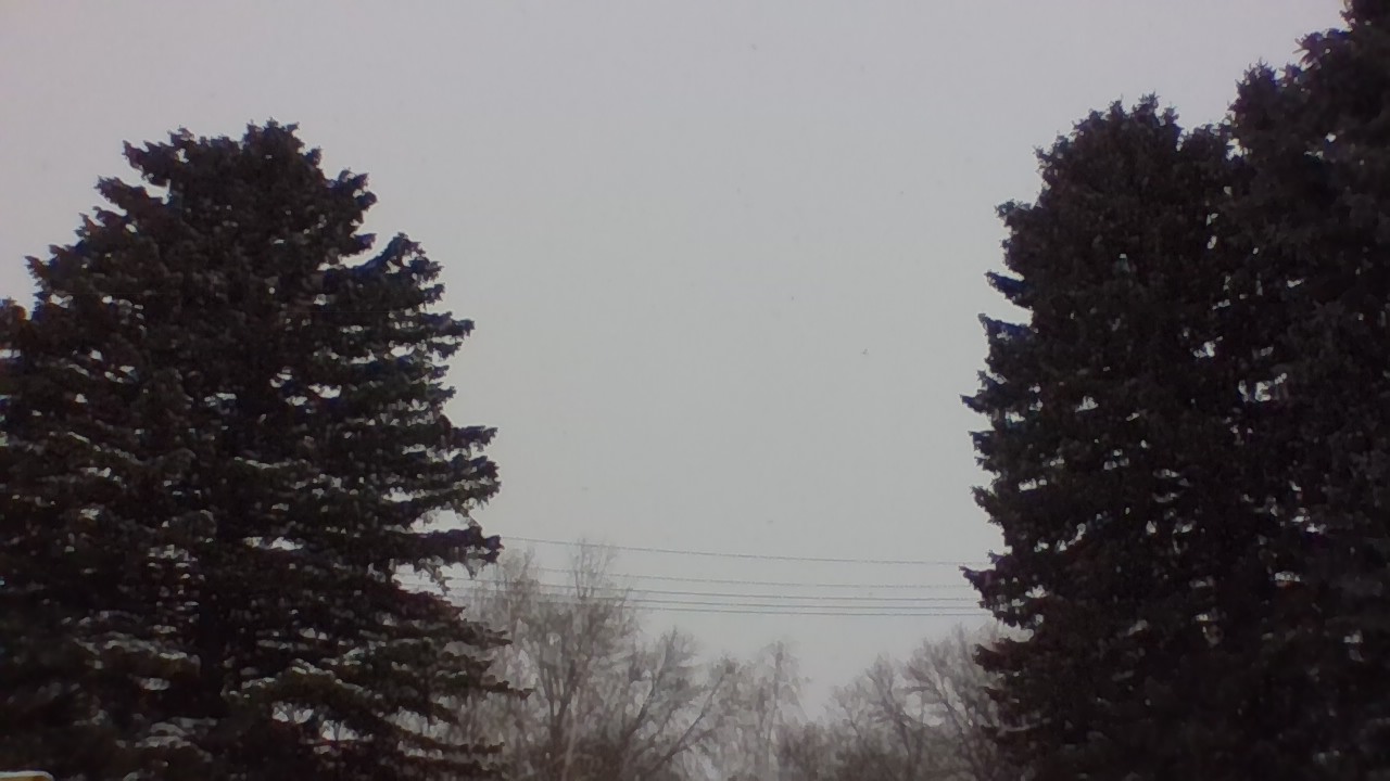 Cleo, Gus Gus, and Wicket (Hufflepuff) | Hogwarts is Here