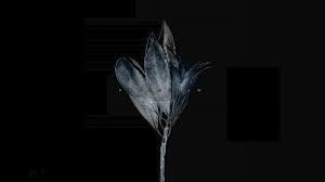 Brett Alder (Gryffindor) | Hogwarts is Here