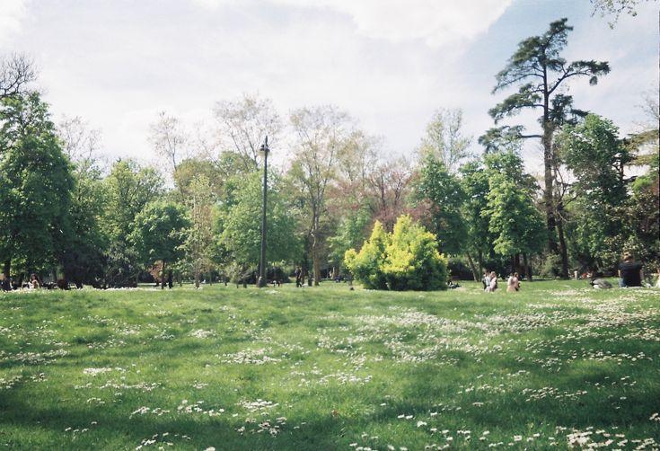 (Gryffindor) | Hogwarts is Here